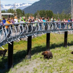 Alaska Wildlife Conservation Center