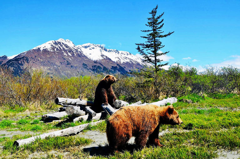 Everything you need to know about Girdwood, Alaska